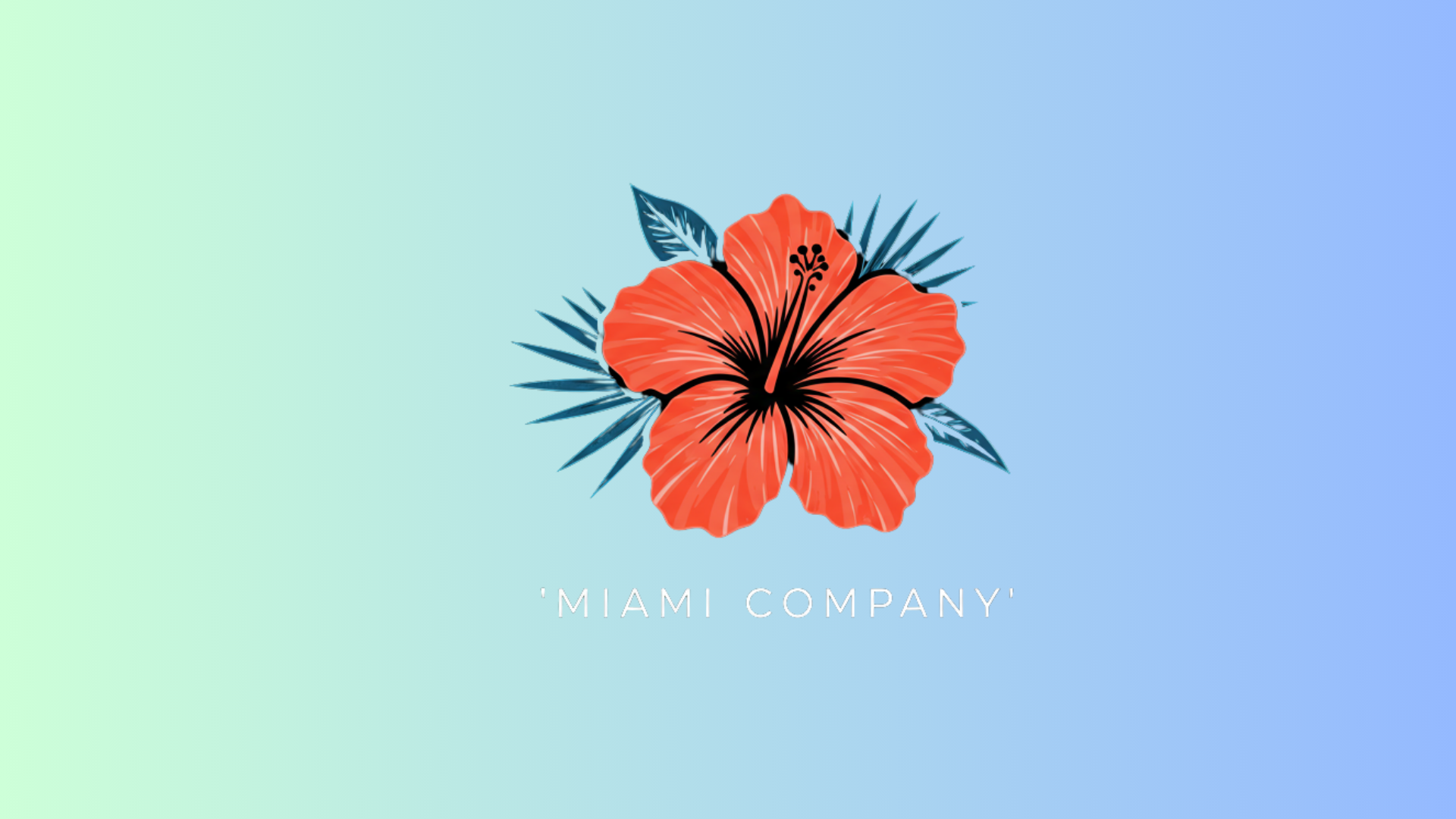Miami Company | Vista-se como uma celebridade